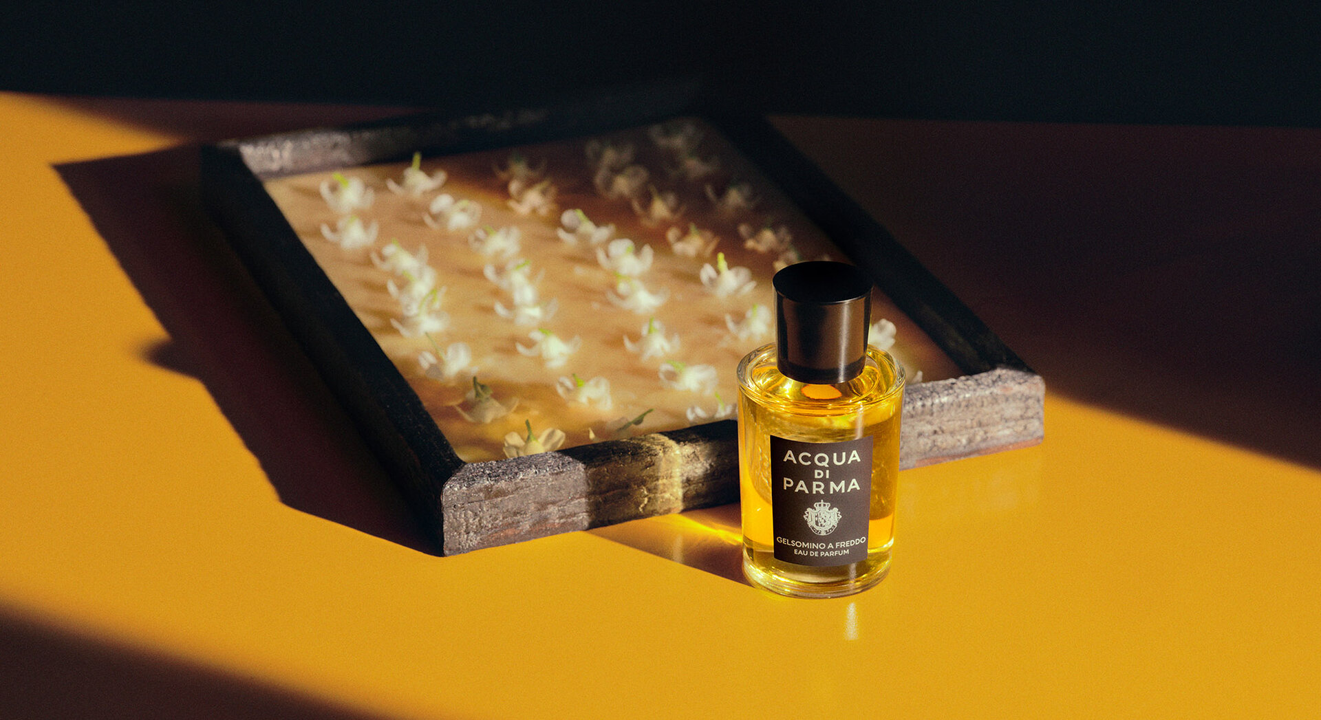 Profumi di Nicchia: Profumi Italiani di Lusso | Acqua Di Parma