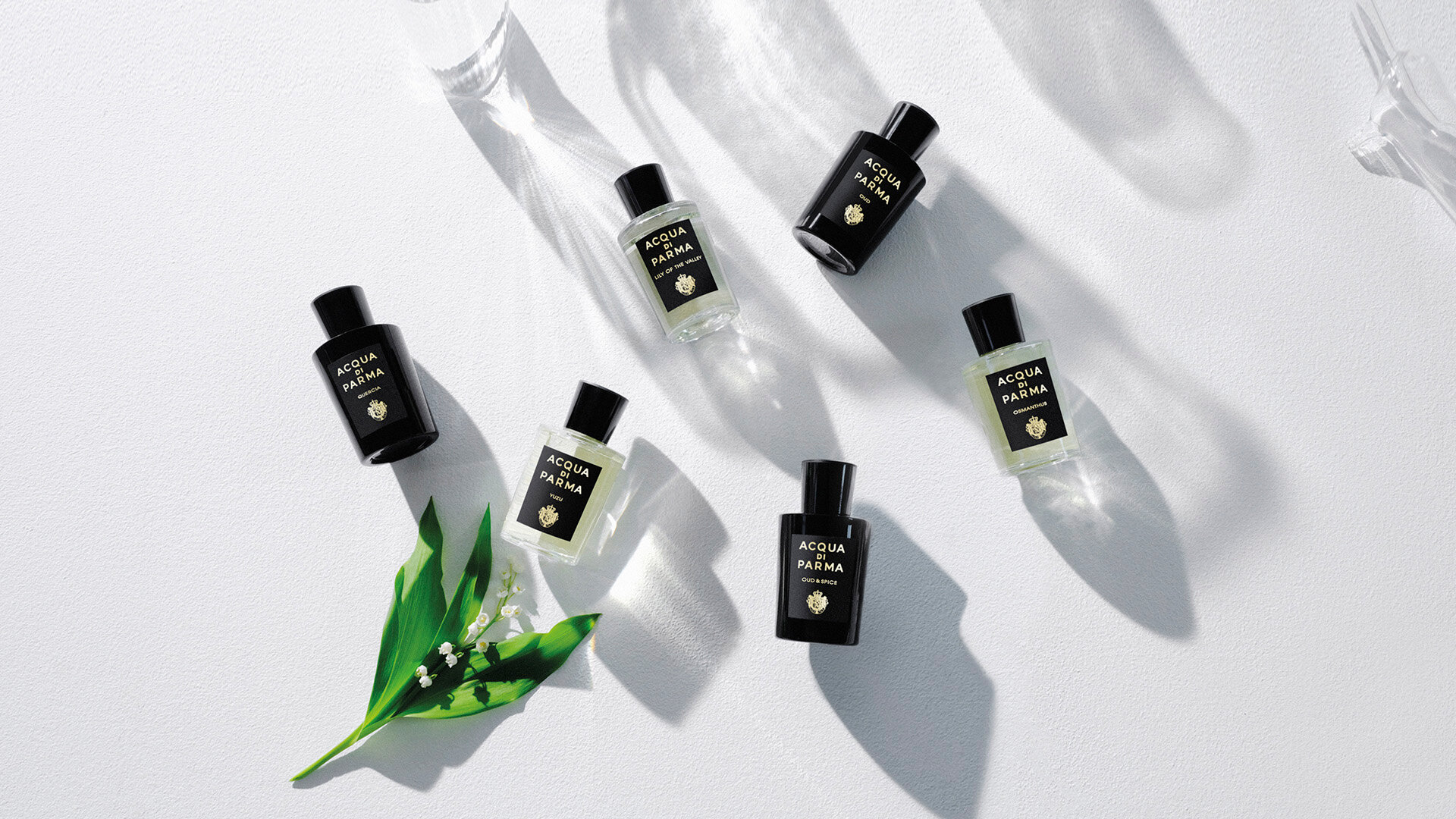 Signatures of the Sun | Acqua di Parma